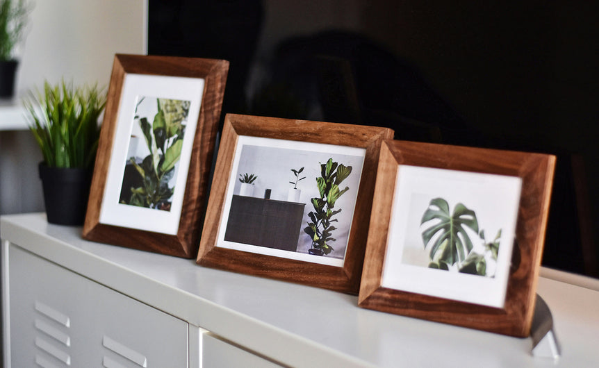 Collections – Frame USA